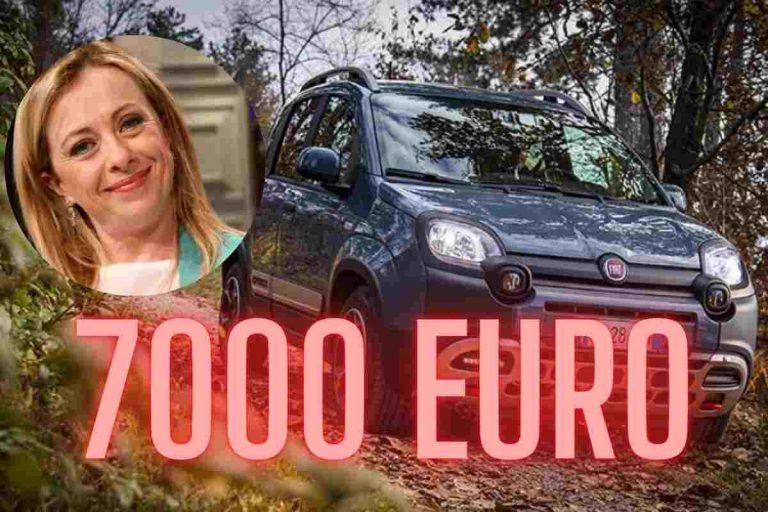 Fiat Panda 2024, il nuovo modello grazie al Governo Meloni costerà solo 7000 euro: bisognerà ...